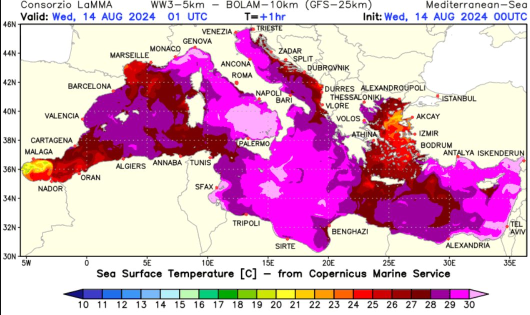 Il LAMMA: "Temperatura dei mari 4-6°C oltre la media del periodo. Così ...